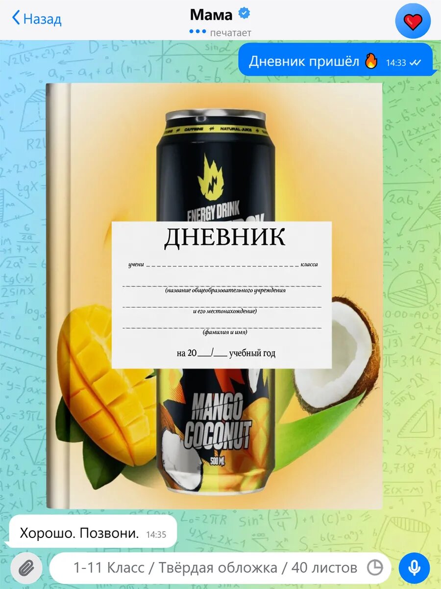 Школьный дневник с принтом Роблокс
