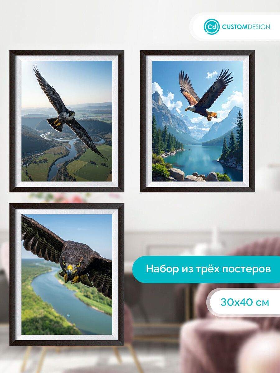 Постеры на стену для интерьера Птицы 30х40 см 3 штуки