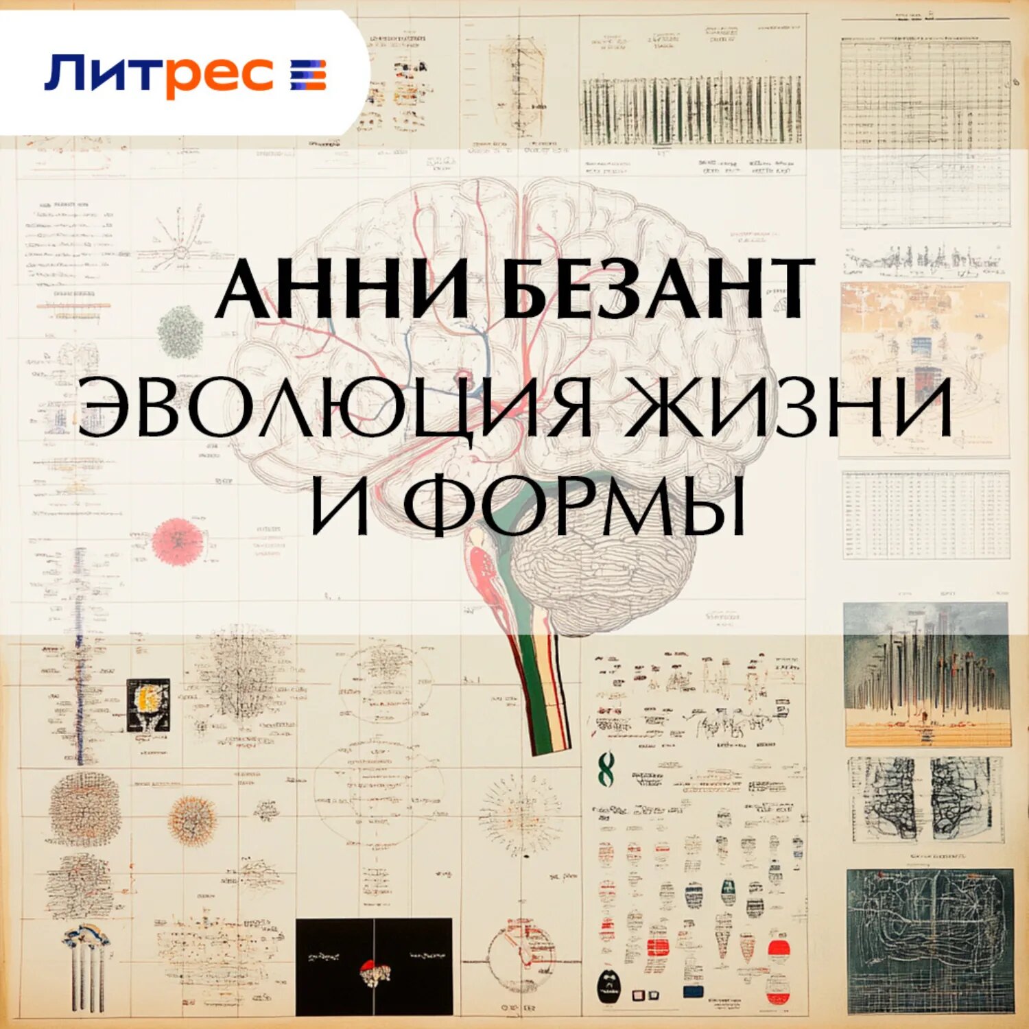 Эволюция жизни и формы [Аудиокнига]