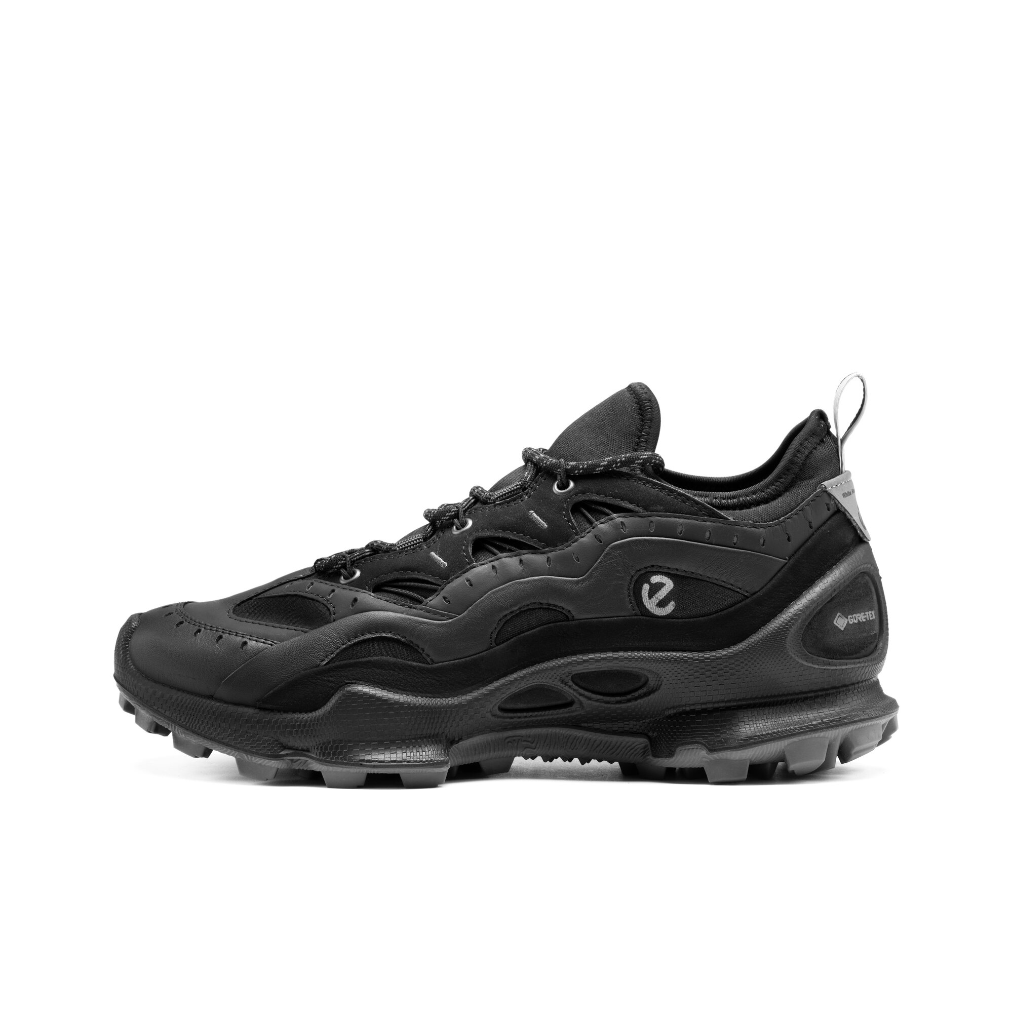 Ботинки ECCO Biom C Trail
