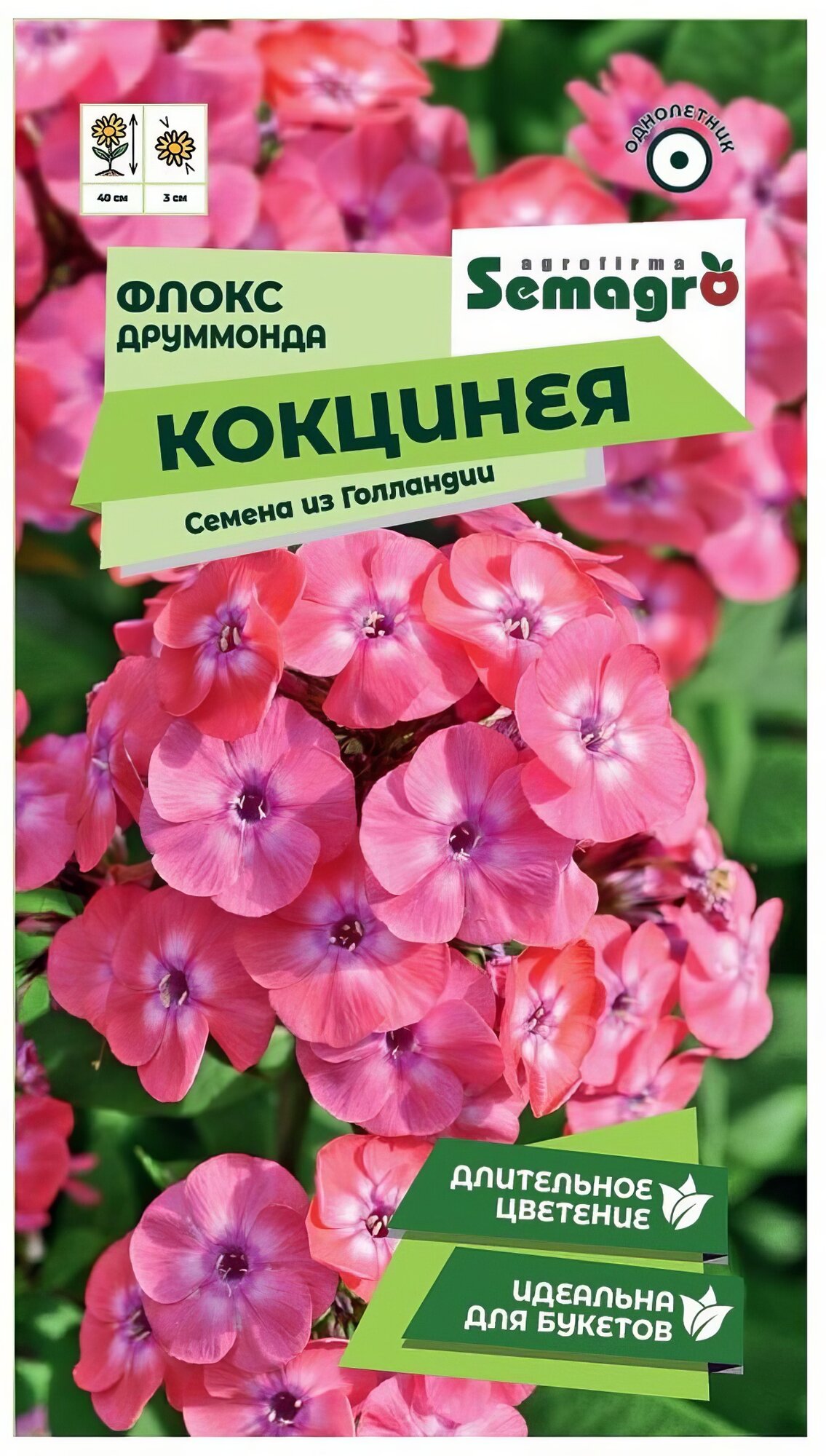 Семена Флокс Друммонда Кокцинея