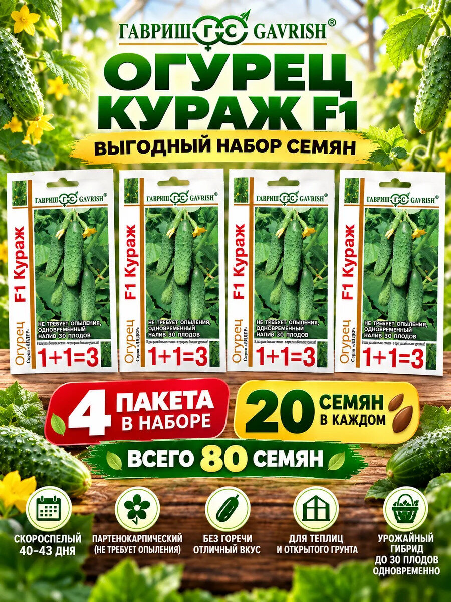 Семена огурцов самоопыляемые для теплиц Кураж 4 пакета по 20 шт