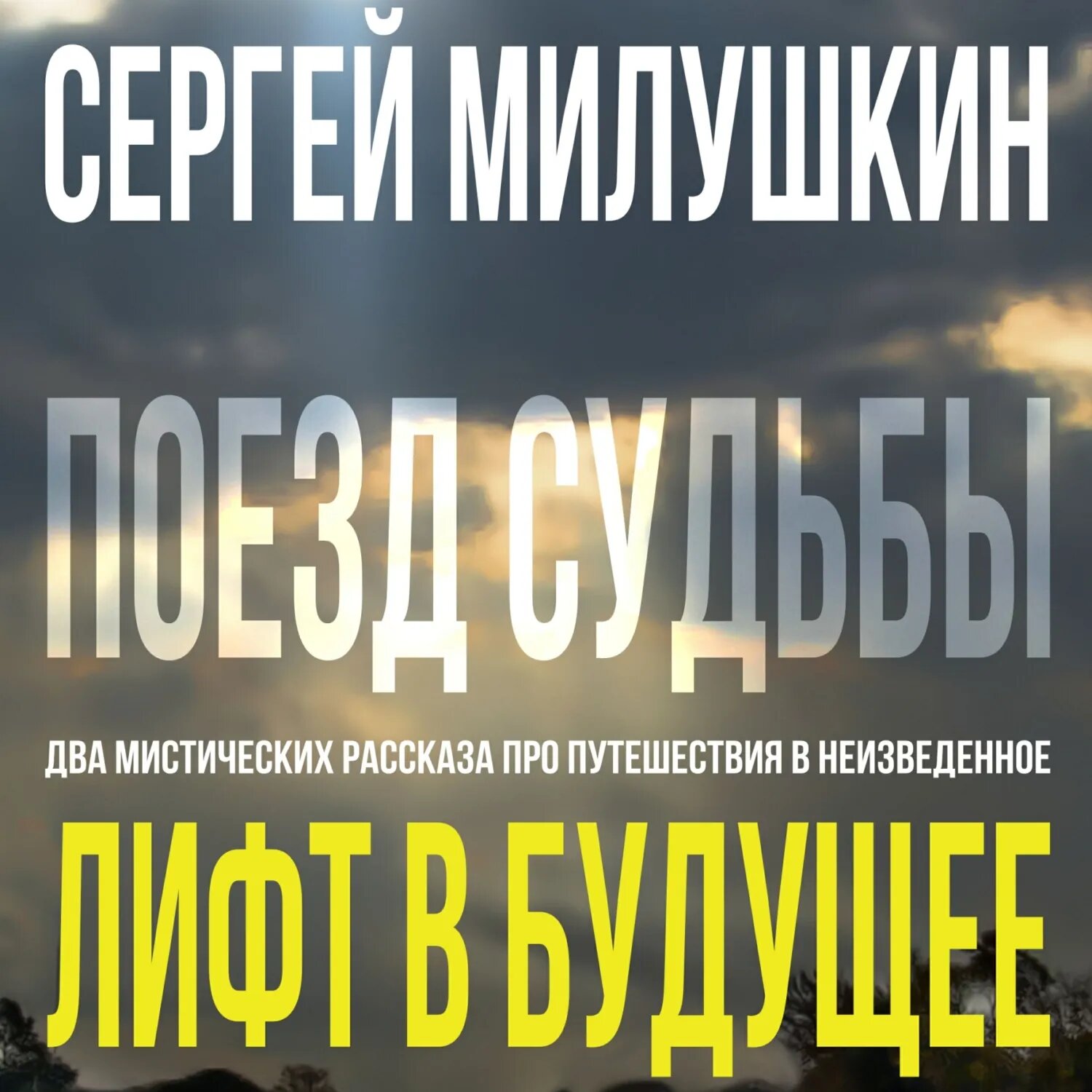 Лифт в будущее. Поезд судьбы [Аудиокнига]