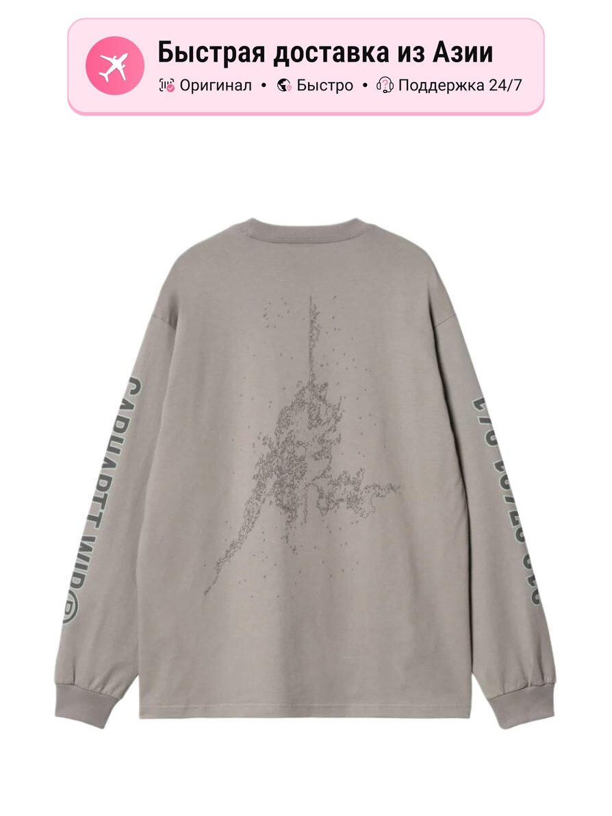 Футболка Carhartt WIP L/S Coordinate