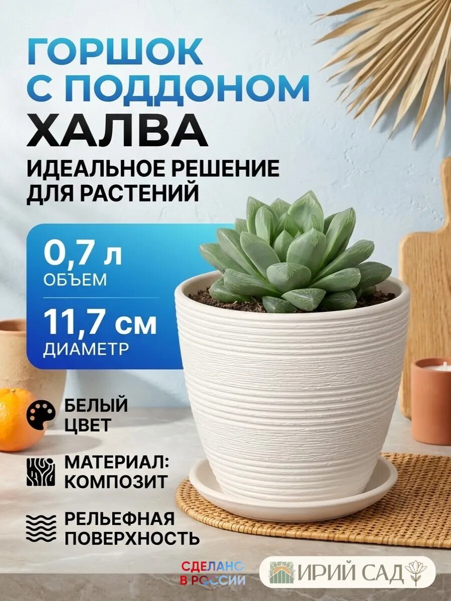 Горшок для комнатных цветов, замиокулькаса и кактусов керамический интерьерный, объем 0,7 л, диаметр 11,7 см