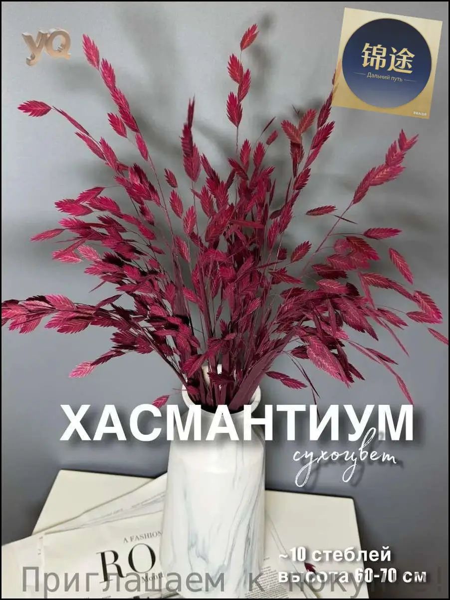 Сухоцветы Овёс, Мискантус 70 см 10 шт красный