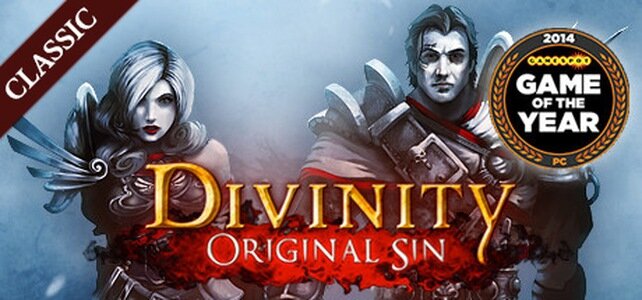 Divinity: Original Sin Enhanced Edition - Collector's Edition — игра для ПК, подарок Steam Gift, активация в Турции