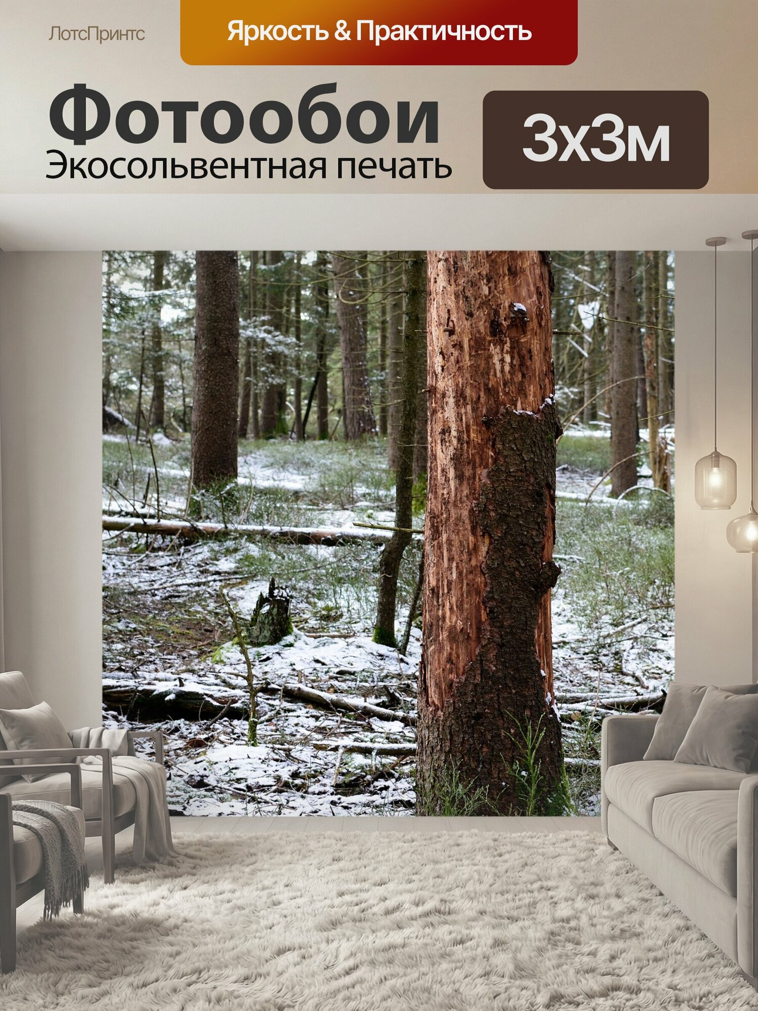 Фотообои "Повреждение леса, кора дерева, поврежден" 300x300 см. экосольвентная печать