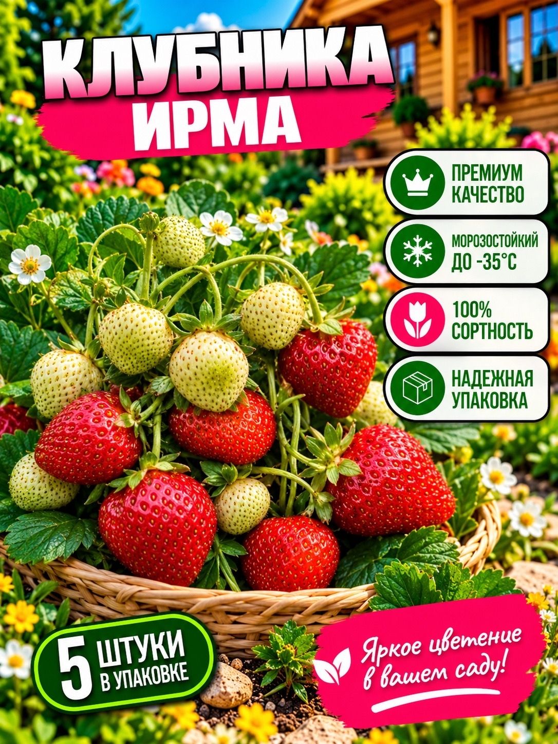 Саженцы клубники "Ирма" 5шт.