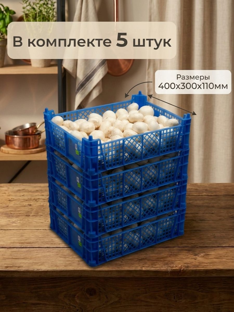 Ящик пластиковый 5 штук для хранения грибов 400х300х110 мм, перфорированный, синий