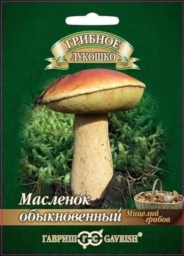 Мицелий Масленок на зерновом субстракте 15 мл гавриш