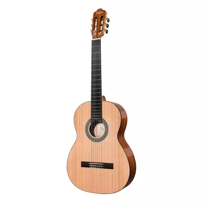Tesoro TS3940 Классическая гитара