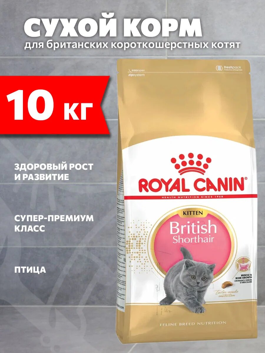 Корм сухой Royal Canin British Shorthair Kitten 34 для британских короткошерстных котят, 10 кг