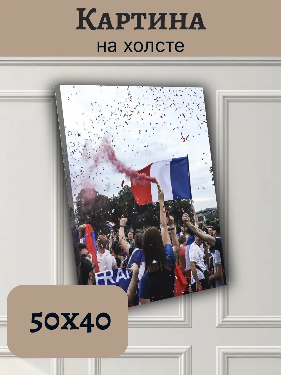 Картина Постер Франция France 40x50 фанаты Триколор