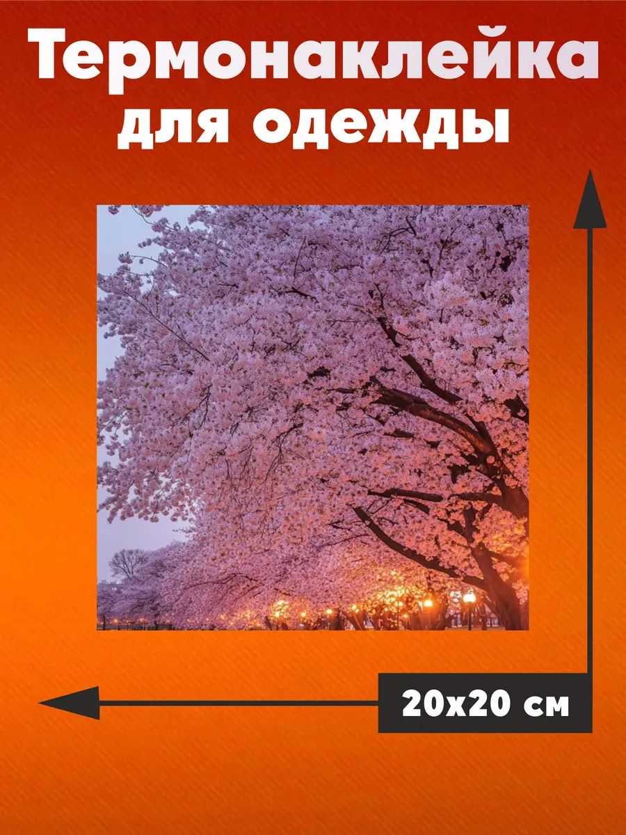 Термонаклейка на одежду Япония сакура