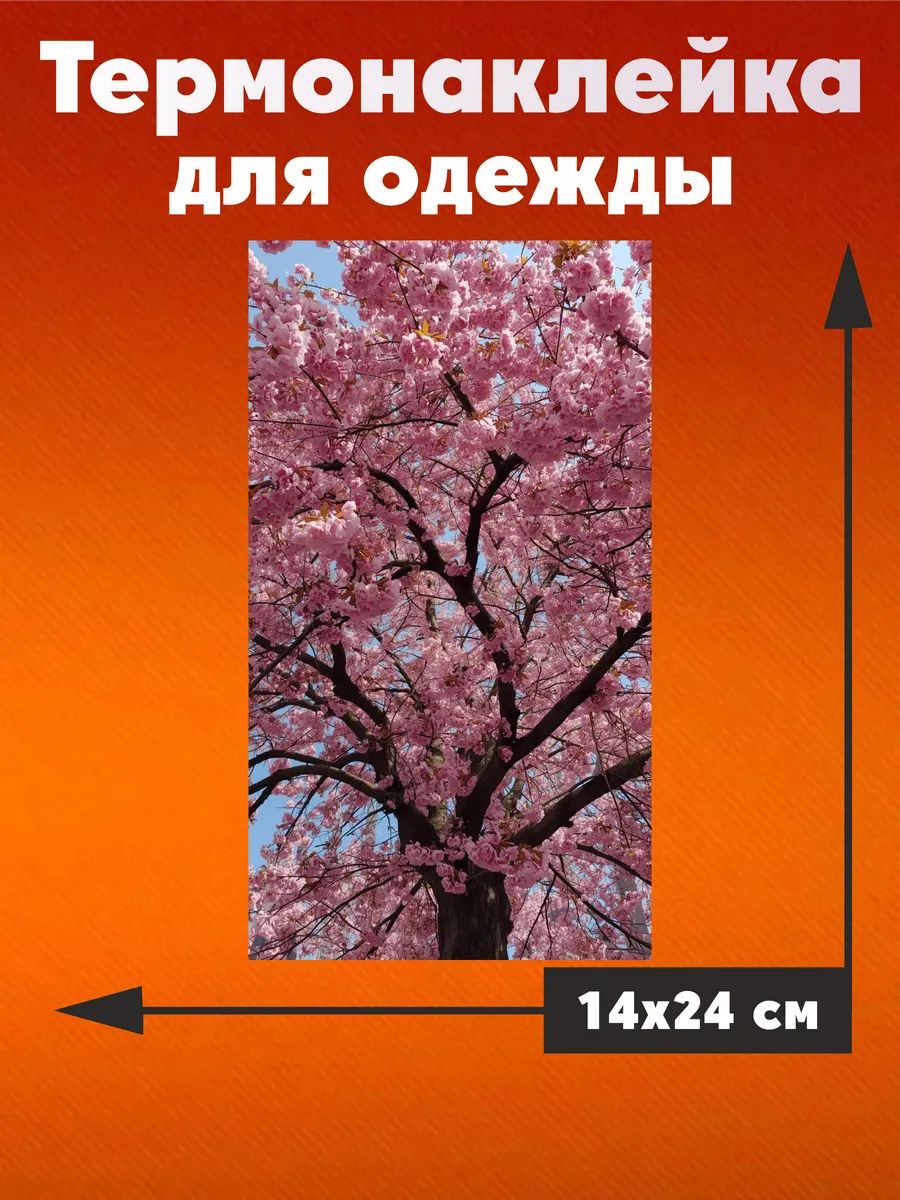 Термонаклейка на одежду Япония сакура