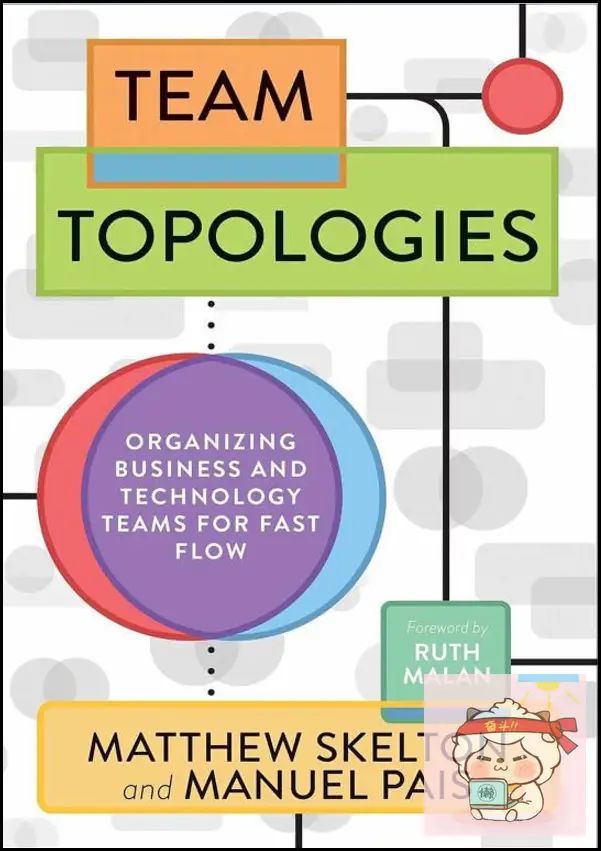 Team Topologies by Matthew Skelton & Manuel Pais Business IT Management English Book