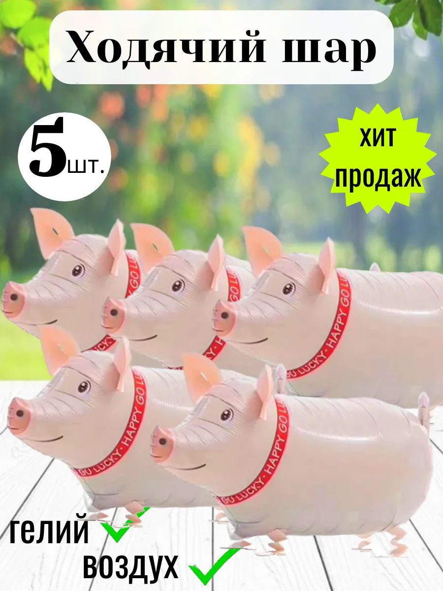 Набор шаров Ходячий Поросенок 5 шт.