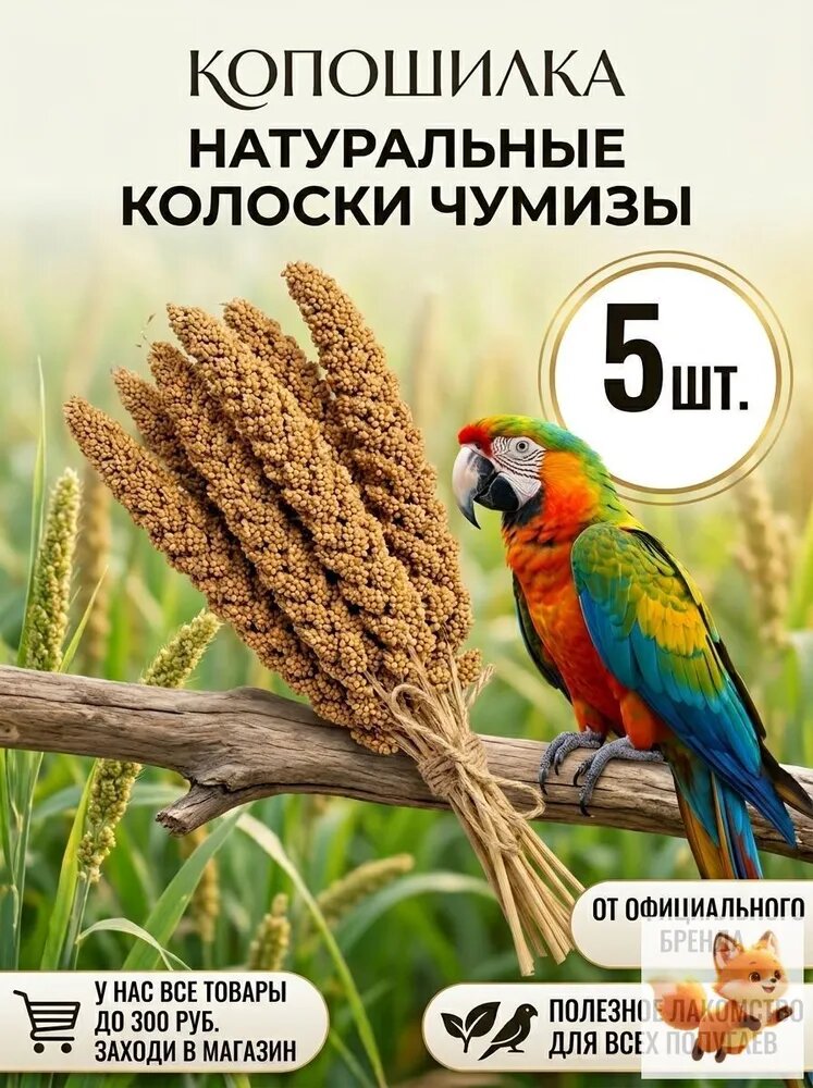 Чумиза для попугаев 5 шт. сенегальское просо лакомство игрушка для птиц и грызунов , урожай 2025 года - копошилка бренд от производителя
