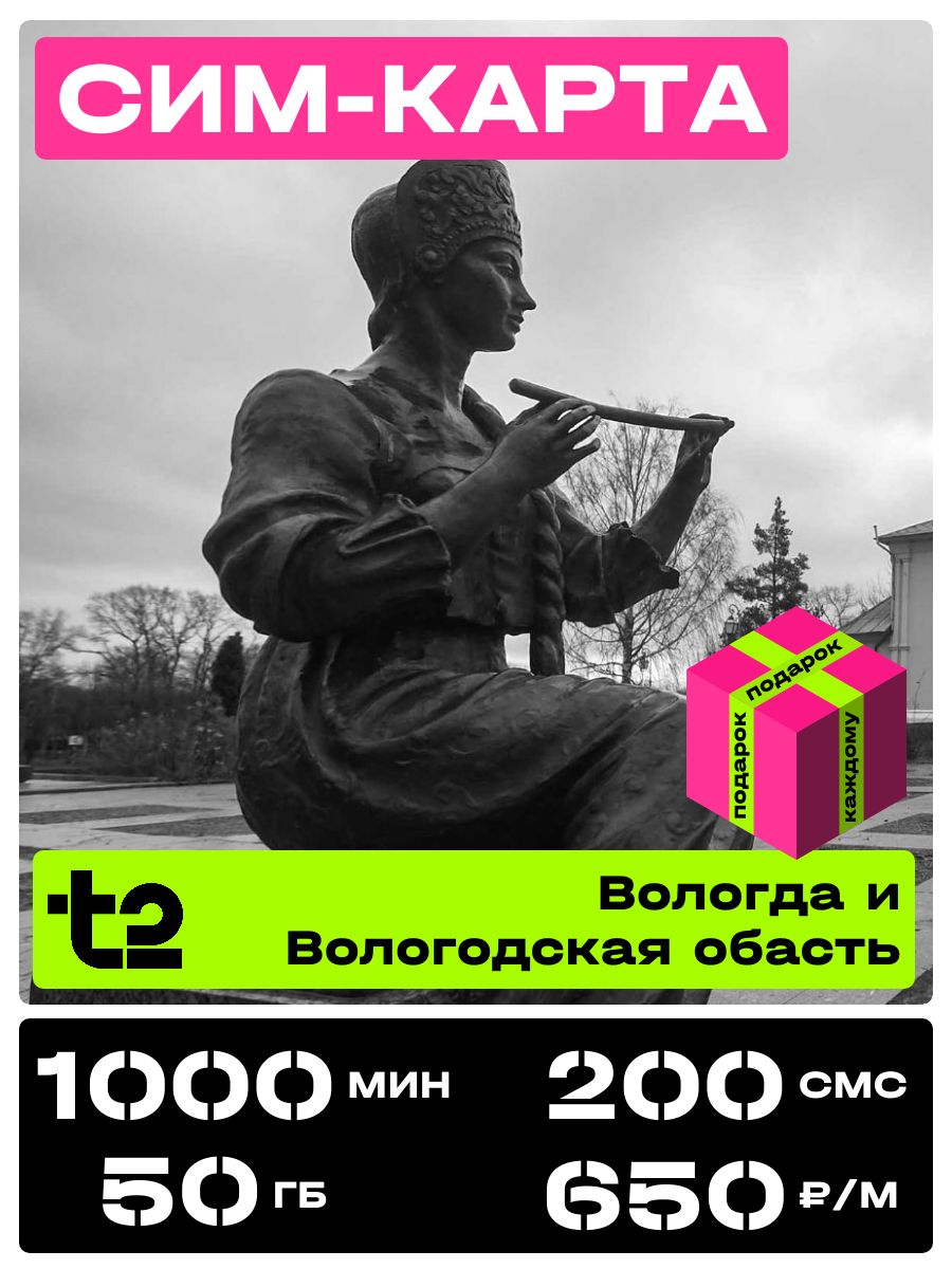 Сим карта теле 2. t2 SIM-карта тариф Партнер М Вологодская область. 1000 минут за 650 рублей в месяц.
