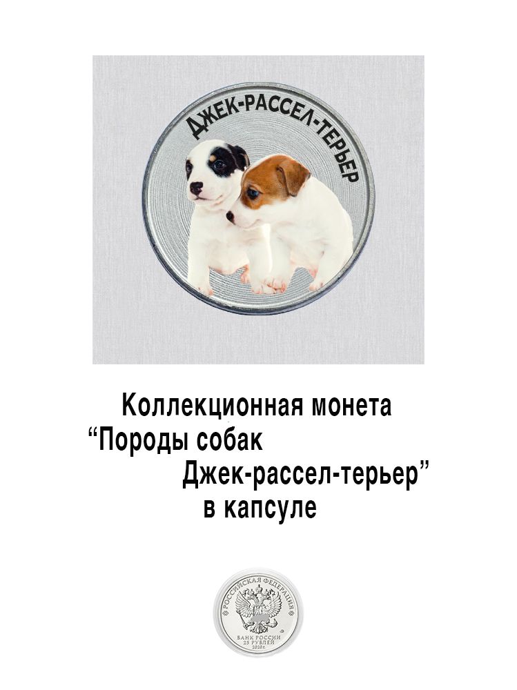 Коллекционная сувенирная монета Джек-рассел-терьер , из серии Знаменитые породы собак-25 рублей