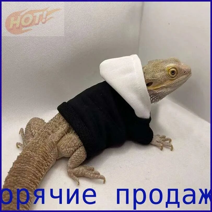 Толстовка для ящерицы