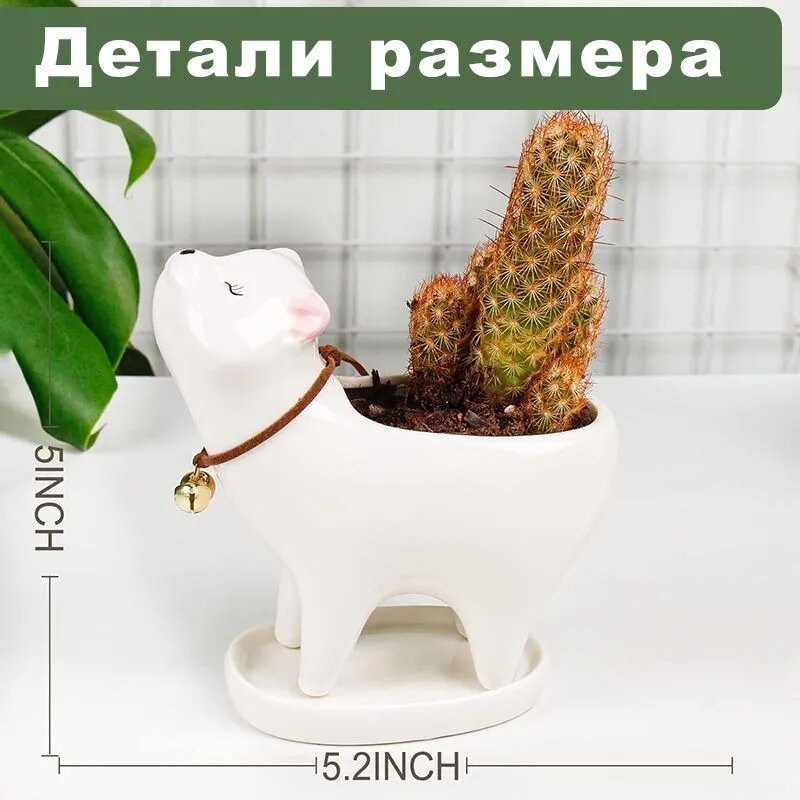 Кашпо керамическое Кот для суккулентов и кактусов, белый