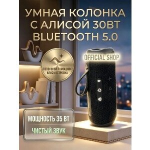 Умная колонка и Bluetooth: мощная портативная акустика 35Вт для дома и отдыха
