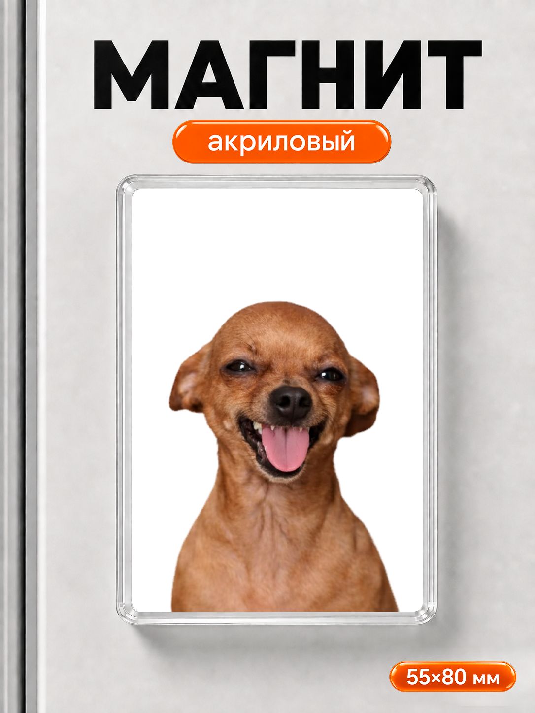 Магнит на холодильник "Собака чихуахуа", прикольный магнитик