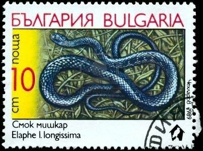 (1989-089) Марка Болгария "Полоз" Змеи III