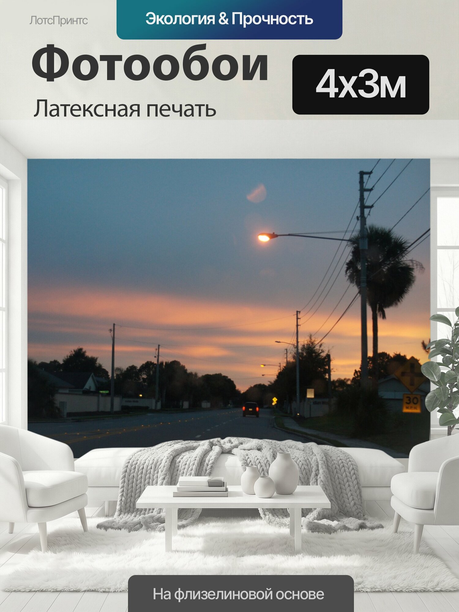 Фотообои моющиеся ударопрочные "Сша, дорога, машина" 400x300 см. латексная печать