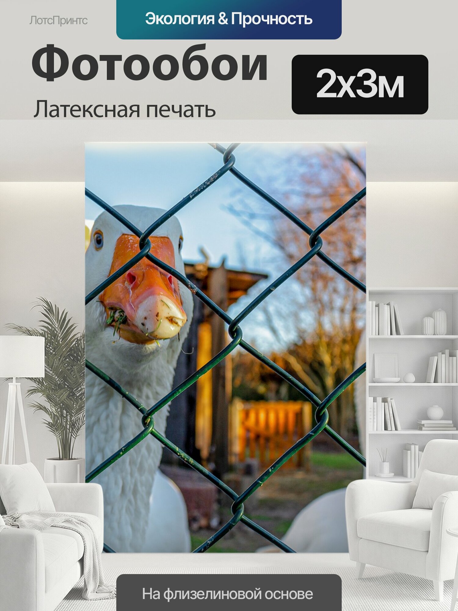 Фотообои моющиеся ударопрочные "Гуси, животное, птицы" 200x300 см. латексная печать