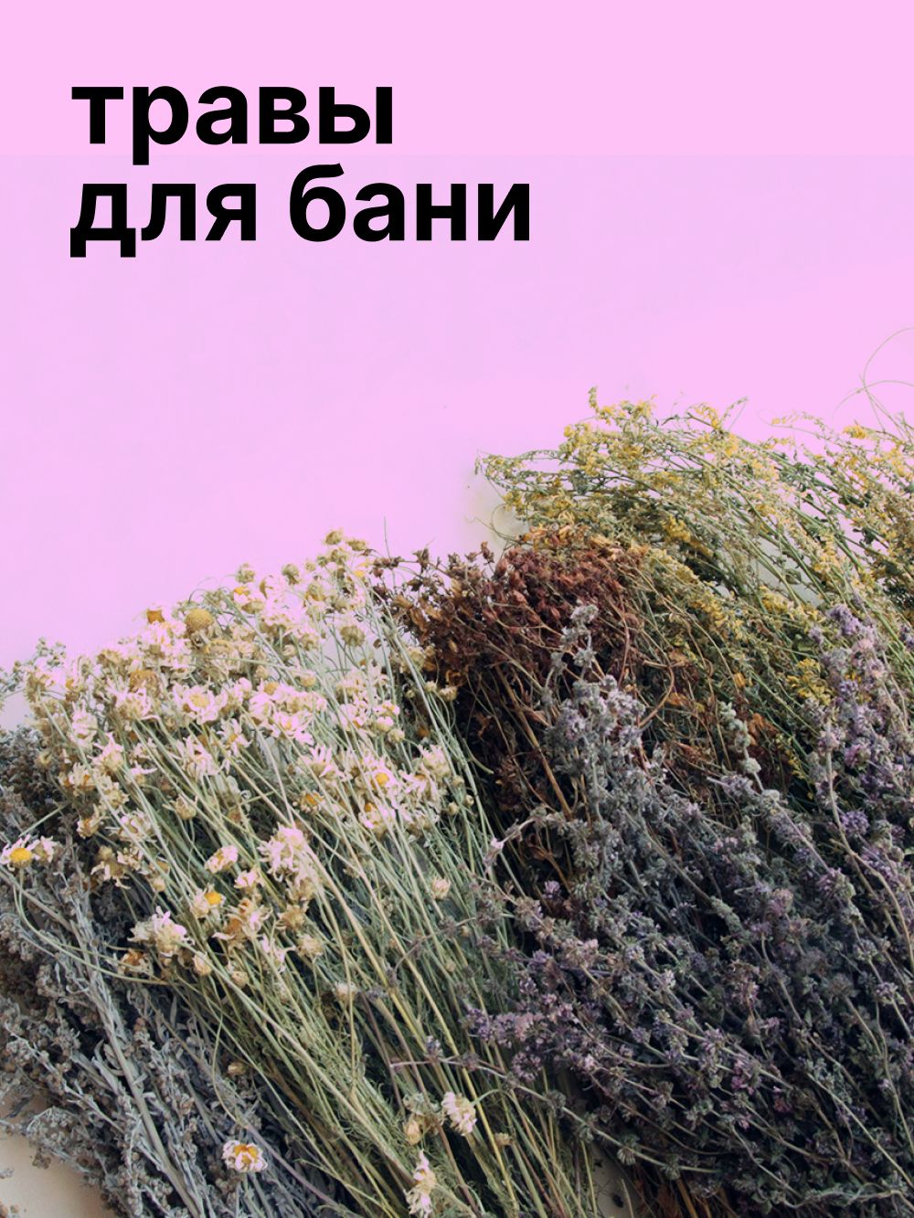 Веник для бани. Травяной. Набор 7 шт. Донник, мелиса, шалфей, полынь, зверобой, ромашка, пижма. В картонной коробке.