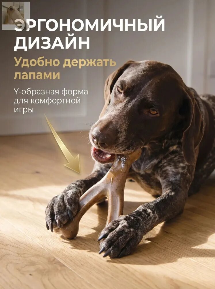 Игрушки для собак крупных пород: антивандальная жевательная кость из нейлона с ароматом говядины. Прочная долгоиграющая игрушка грызак для стаффорда, питбуля