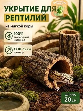 Пробковое укрытие для рептилий и амфибий, натуральное дупло для террариума, для лазания и укрытия, для гекконов и жаб