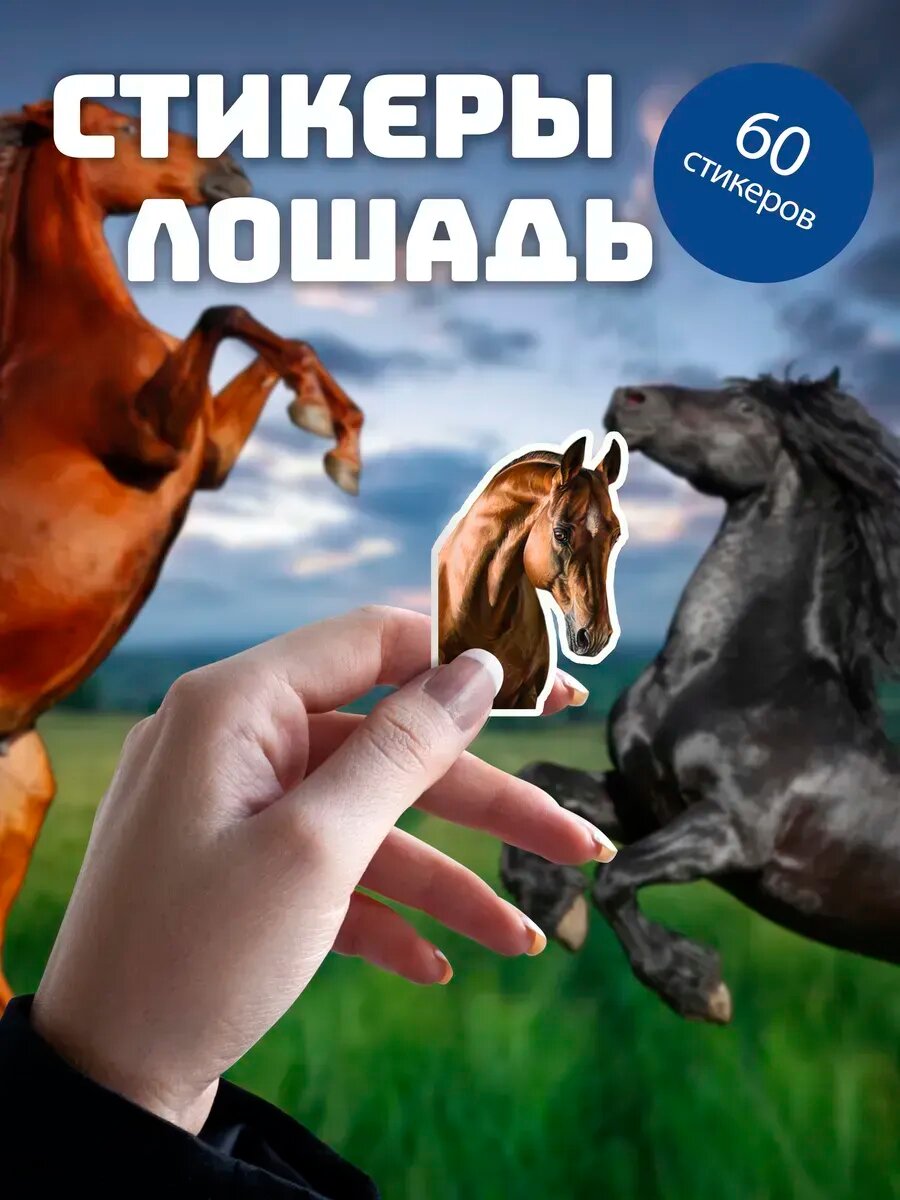 Стикеры наклейки с лошадьми