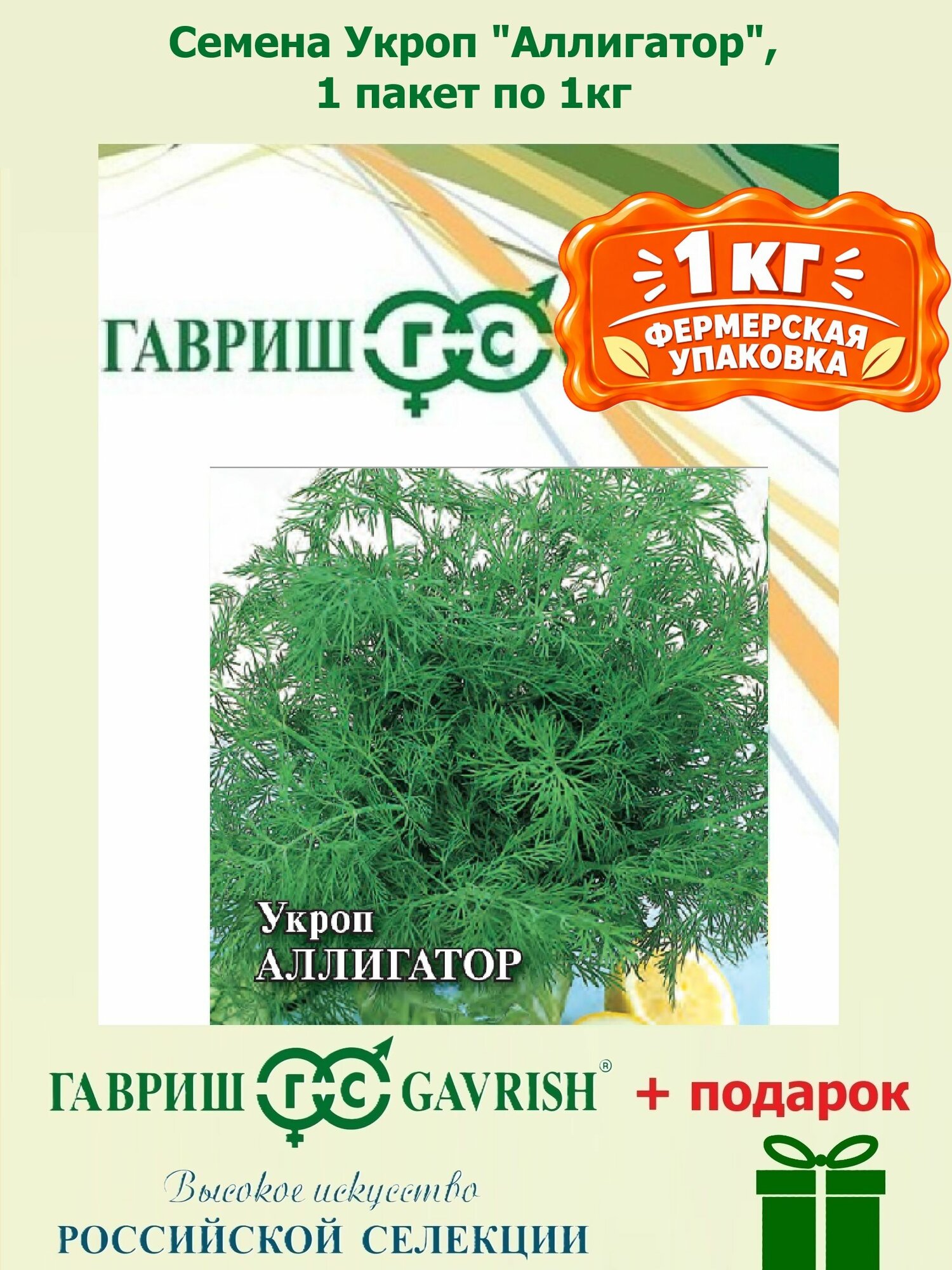 Семена Укроп Аллигатор, 1 пакет по 1кг