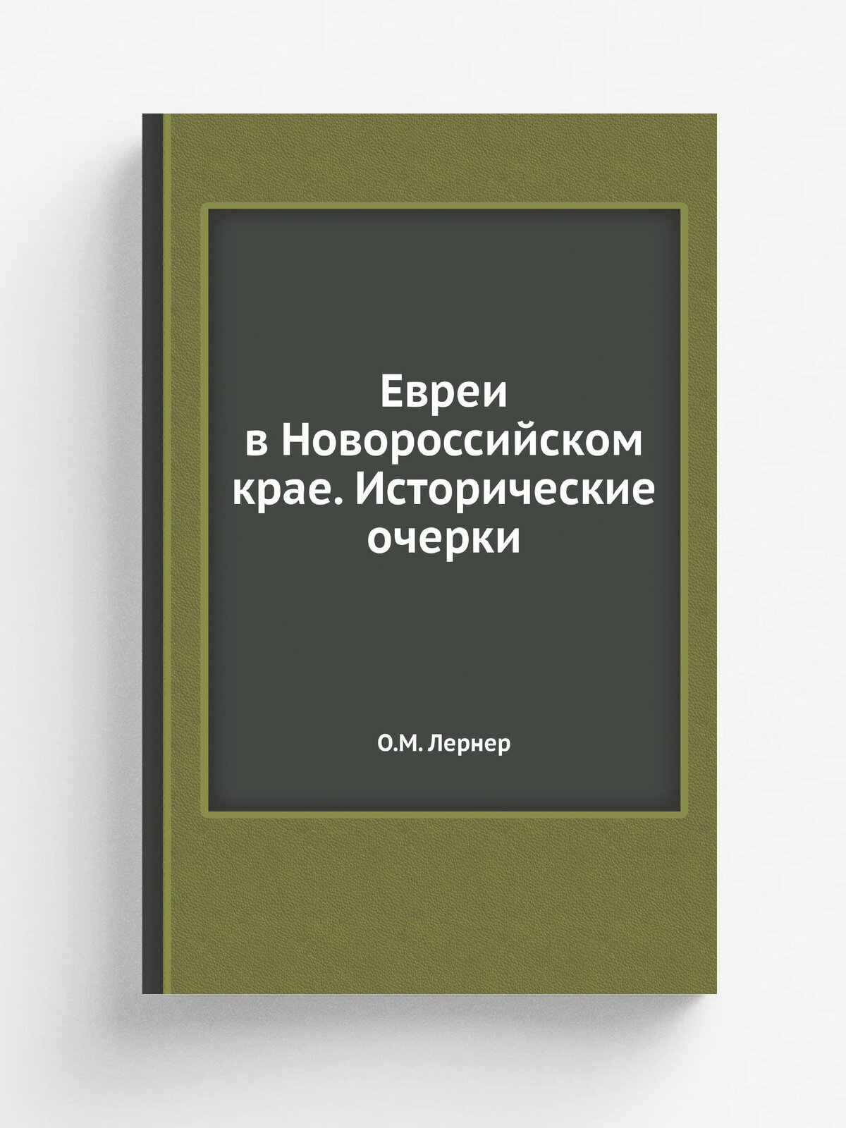 Евреи в Новороссийском крае. Исторические очерки | О. М. Лернер | 1901 | Репринт