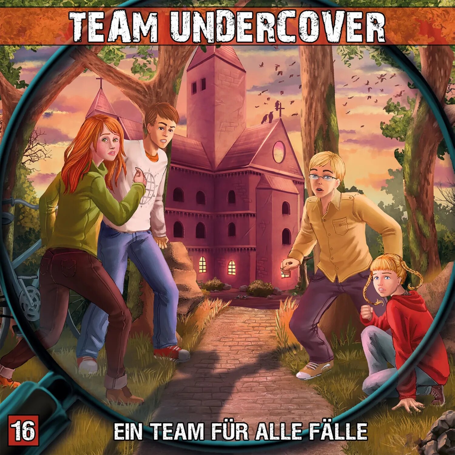 Team Undercover, Folge 16: Ein Team für alle Fälle [Аудиокнига]