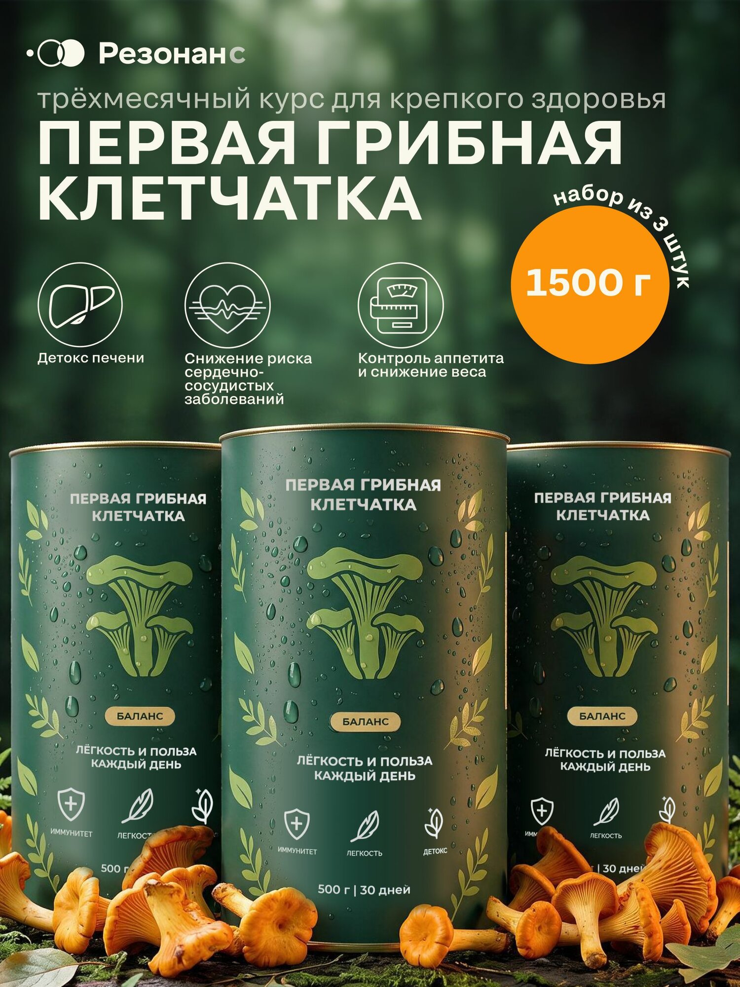 Клетчатка грибная с лисичками, псиллиумом и инулином - пребиотик, детокс для похудения, очищение организма для жкт, набор из 3 шт,1500 г