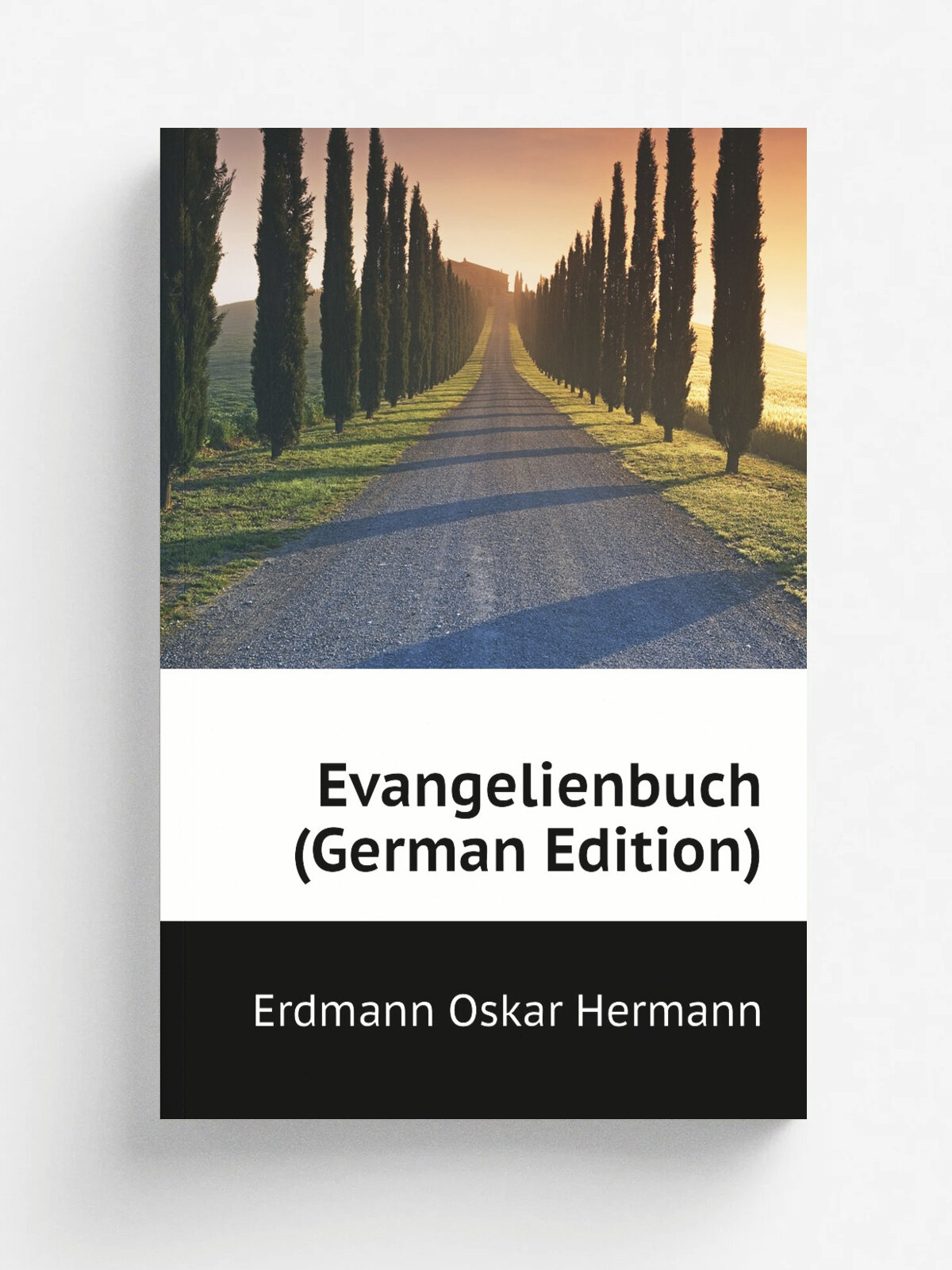Evangelienbuch (German Edition) | Erdmann Oskar Hermann | Репринт