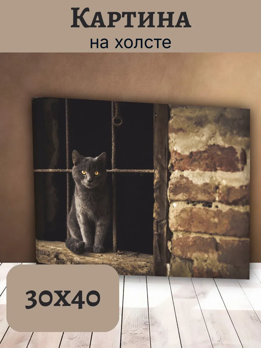 Картина Кот Кошка Cat 30x40 серая на подоконнике с решеткой