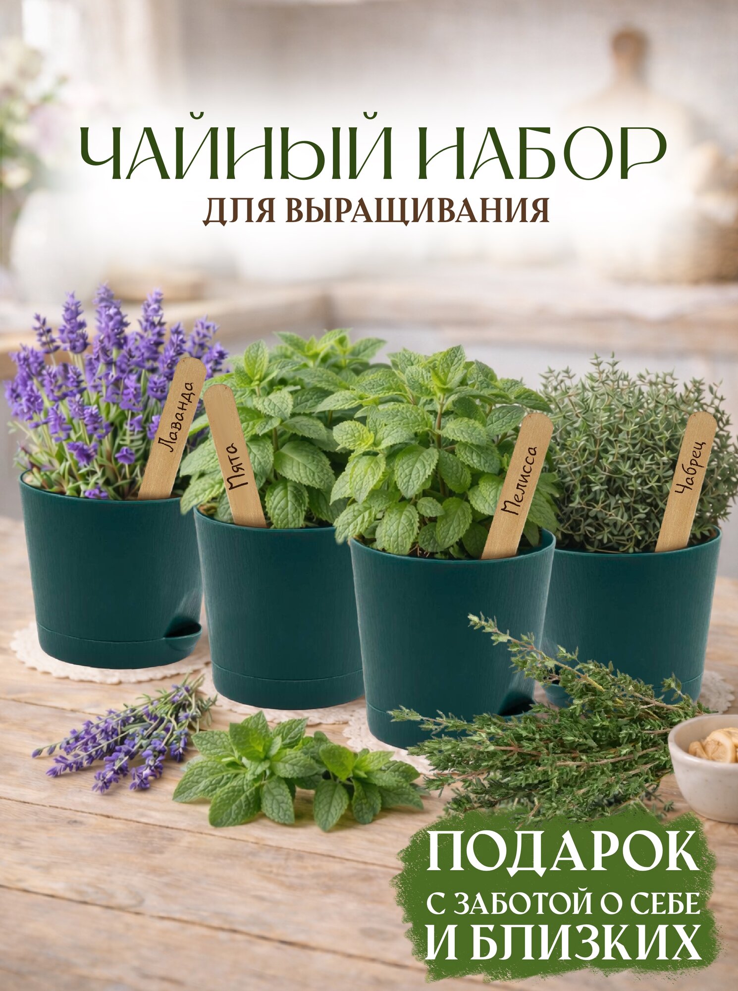 Набор для выращивания чайных трав дома — мята, мелисса, лаванда, чабрец