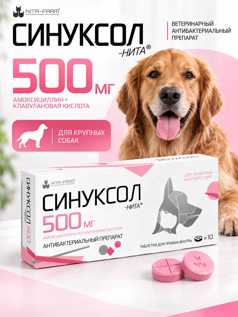 Синуксол-Нита 500 мг для собак и кошек, 10 таблеток, 1уп.