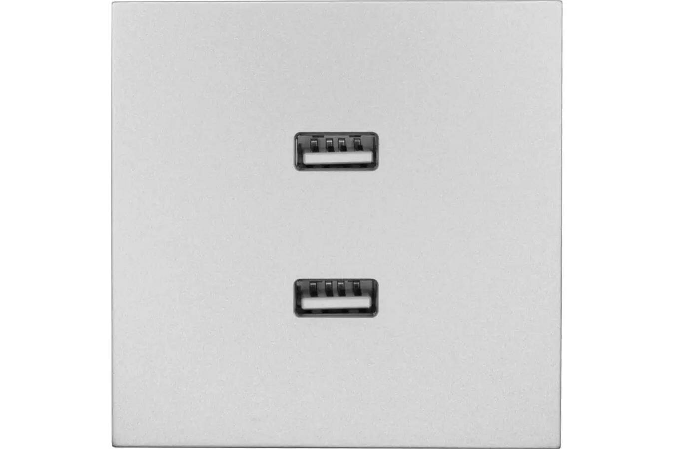 Розетка встраиваемая USB двойная серый Lezard ZIMA 704-7488-192