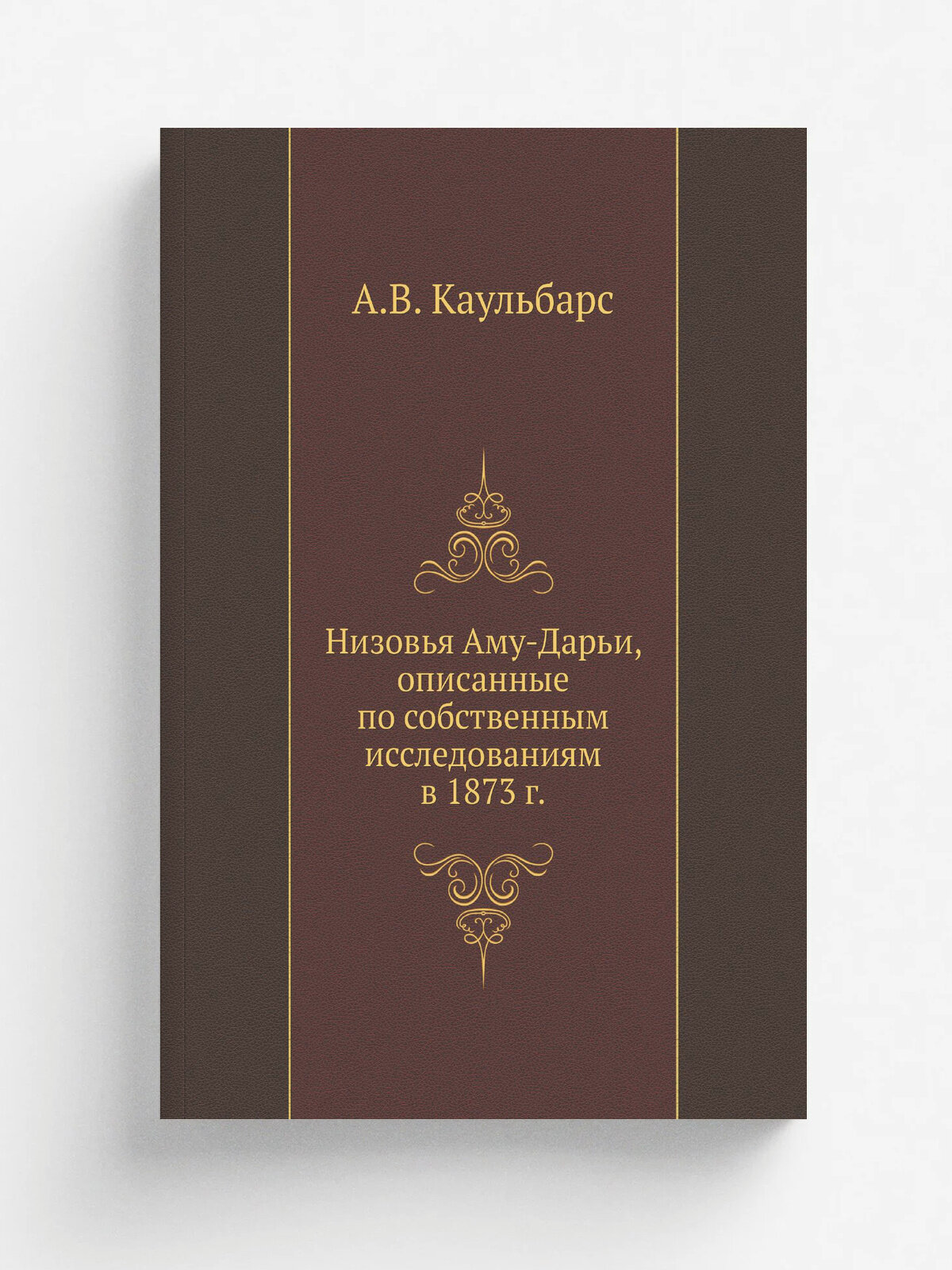 Низовья Аму-Дарьи, описанные по собственным исследованиям в 1873 г.