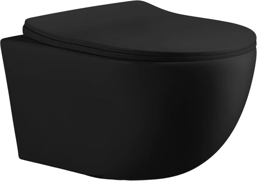 Унитаз подвесной Ceruttispa ORLTER Aria MBF CT10017 с микролифтом, безободковый, без бачка, антивсплеск, фарфоровый, черный, матовый, овальный, сиденье для