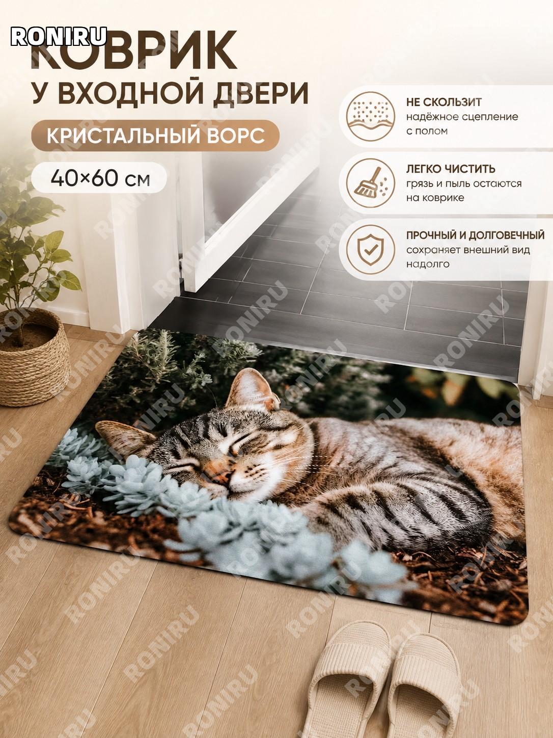 Коврик придверный для кошек 40×60 см SYT-MRM-3 из кристаллического ворса, полиэстер, коврик в прихожую для дома