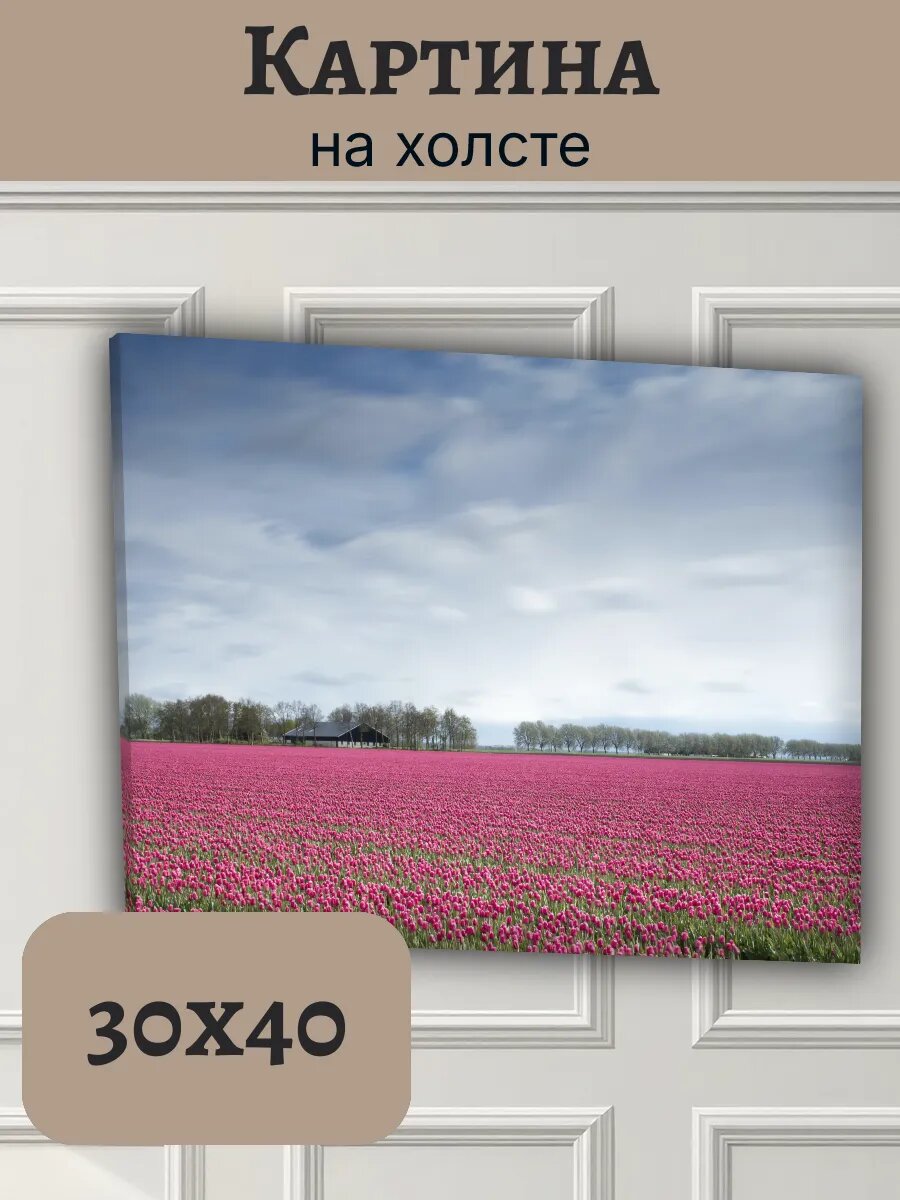Картина Постер Европа Europe 40x30 весенний пейзаж