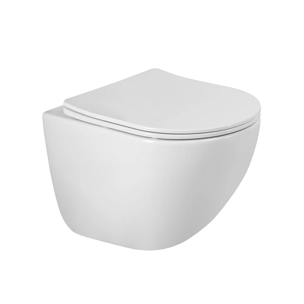 Унитаз подвесной BelBagno Amanda-Tor BB051CH-TOR-FC/SC с микролифтом, безободковый, без бачка, антивсплеск, фаянсовый, белый, глянцевый, овальный, сиденье для унитаза в комплекте
